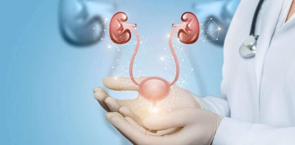 Exploring best urology services in Hyderabad